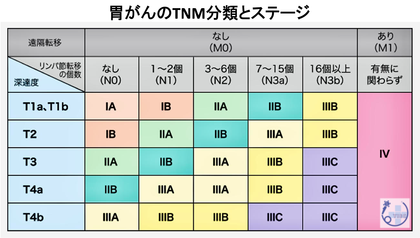 胃がんの予防と検査、治療｜横浜市神奈川区横浜駅から徒歩3分、内視鏡検査なら横浜ベイクォーター内科・消化器内視鏡クリニック 横浜駅院